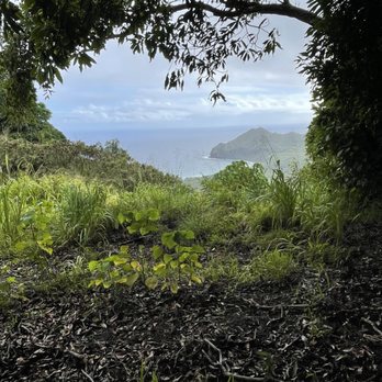 KIPU RANCH ADVENTURES - Updated January 2025 - 1767 Photos & 1558 ...