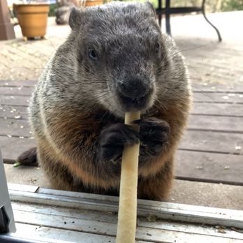 ANDIAMO- BLOOMFIELD HILLS - Updated January 2025 - 171 Photos & 249 ...