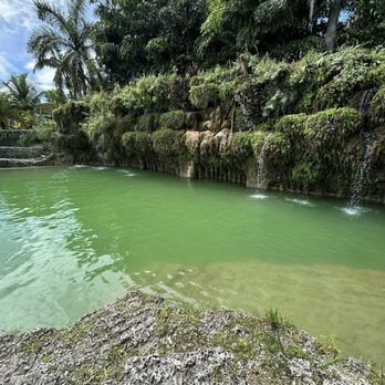 BLUE LAGOON FARM MIAMI - Updated January 2026 - 76 Photos & 41 Reviews ...