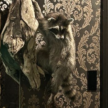 FERAL KITCHEN & LOUNGE - Updated June 2025 - 123 Photos & 48 Reviews ...