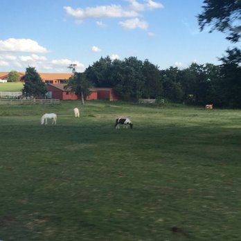 CIRCLE R RANCH - Updated October 2025 - 50 Photos & 21 Reviews - 5901 ...