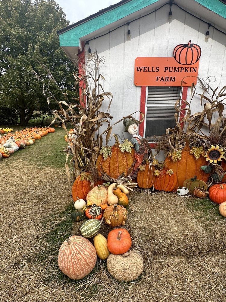 WELLS PUMPKIN FARM - Updated October 2024 - 3801 S Wagner Rd, Ann Arbor ...