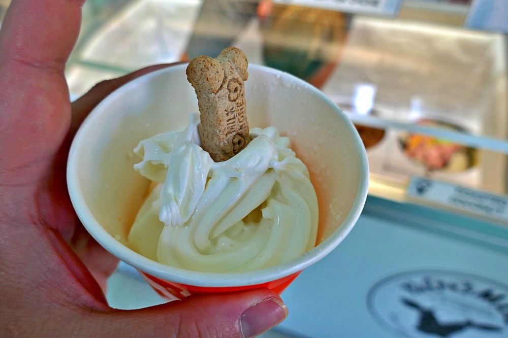 FUDGEES HOMEMADE FUDGE & ICE CREAM - Updated January 2026 - 13 Photos ...