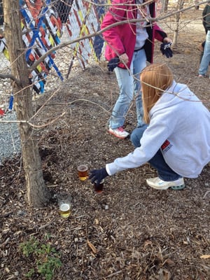 KEEP INDIANAPOLIS BEAUTIFUL - Updated October 2025 - 48 Photos & 21 ...