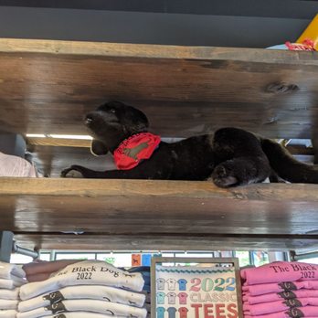 THE BLACK DOG GENERAL STORE: MASHPEE - Updated January 2026 - 24 Photos ...