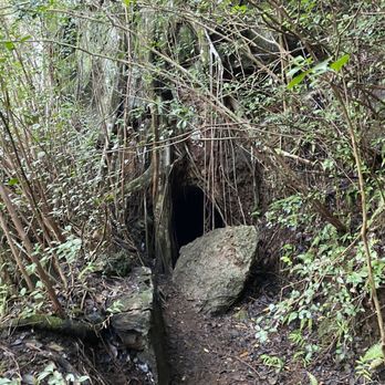 WAIMANO LOOP TRAIL - Updated January 2026 - 451 Photos & 90 Reviews ...