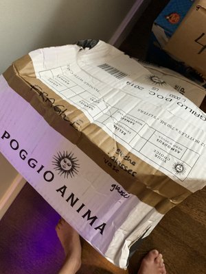 REEBIE STORAGE AND MOVING - Updated November 2024 - 107 Photos & 168 ...