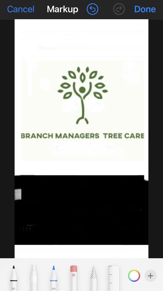 BRANCH MANAGERS TREE CARE - Updated April 2025 - Los Angeles ...