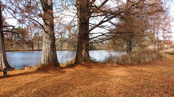 SHAW NATURE RESERVE - Updated November 2024 - 113 Photos & 23 Reviews ...