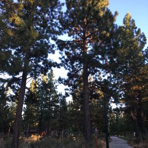 BEND PARK & RECREATION - Updated July 2025 - 799 SW Columbia St, Bend ...