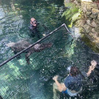 EVERGLADES OUTPOST - Updated December 2025 - 371 Photos & 102 Reviews ...