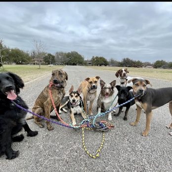 WALK! ATX PET CARE - Updated January 2026 - 117 Photos & 97 Reviews ...