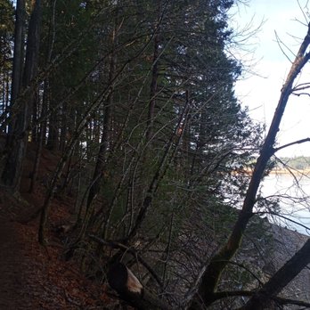 Sly Park Road, Pollock Pines, CA 95726 Compass