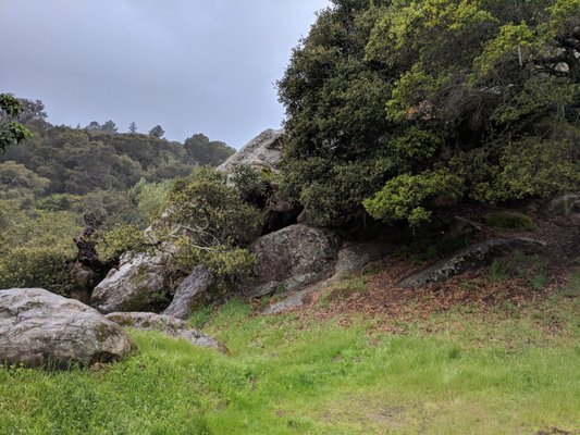 HANDLEY ROCK PARK - Updated July 2025 - 678 Handley Trl, Emerald Hills ...