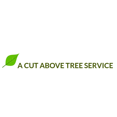 A CUT ABOVE TREE SERVICE - Updated August 2025 - 20 Photos & 12 Reviews ...