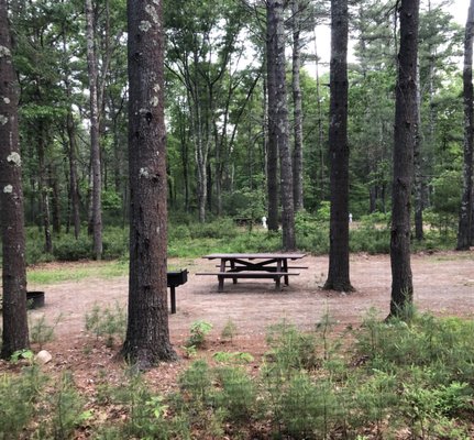 MASSASOIT STATE PARK - 27 Photos & 16 Reviews - Massasiot Park Rd, East ...