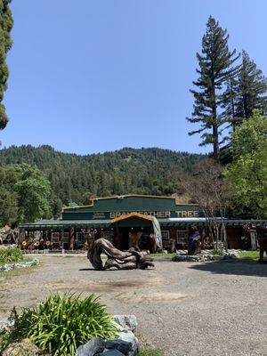 GRANDFATHER TREE - 98 Photos & 20 Reviews - 779 N Hwy 101, Piercy, CA ...