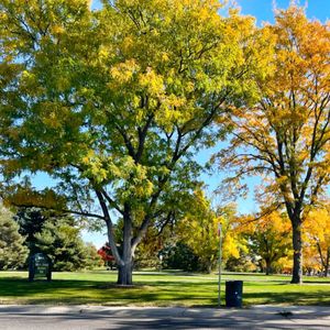 PULASKI PARK AND PLAYGROUND - Updated July 2024 - 13 Photos - 3300 East ...