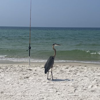 JOHNSON BEACH - Updated July 2024 - 254 Photos & 37 Reviews - 13333 ...