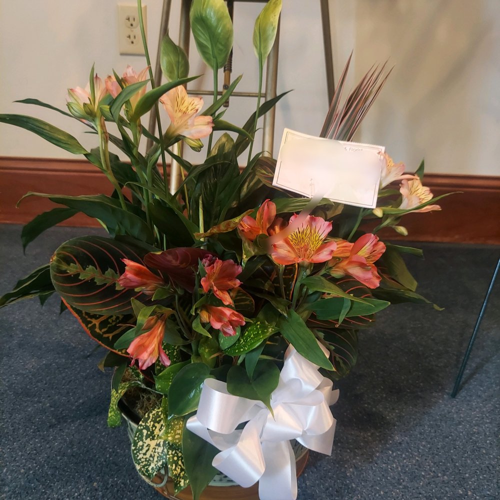 Spurlocks Flowers Huntington Wv | Best Flower Site