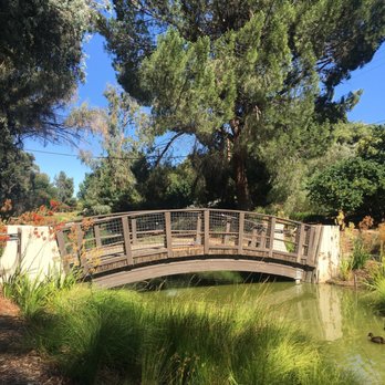 UC DAVIS ARBORETUM AND PUBLIC GARDEN - Updated July 2024 - 1143 Photos ...