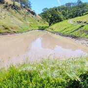 SHELL RIDGE OPEN SPACE - 305 Photos & 56 Reviews - 1035 Castle Rock Rd ...