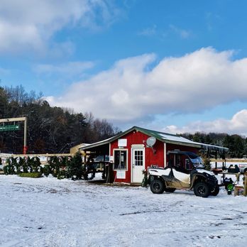 BROADVIEW CHRISTMAS TREE - Updated December 2025 - 28 Photos & 19 ...
