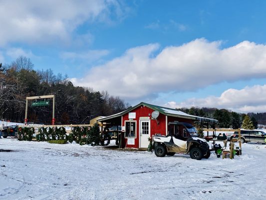 BROADVIEW CHRISTMAS TREE - Updated December 2025 - 28 Photos & 19 ...