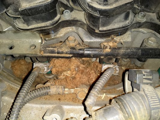 BAXTER TOYOTA OF LINCOLN - Updated January 2026 - 68 Reviews - 8600 S ...