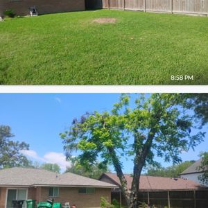 ABC PROFESSIONAL TREE SERVICES - Updated May 2025 - 15 Photos & 28 ...