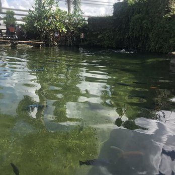 ISAAC FARMS - Updated January 2025 - 446 Photos & 111 Reviews - 18800 ...