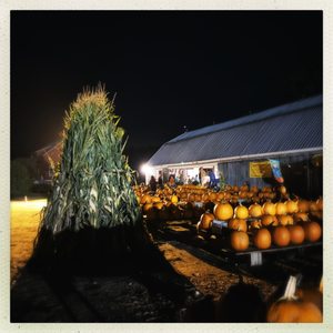 CHARMINGFARE FARM - Updated October 2025 - 40 Photos & 129 Reviews ...