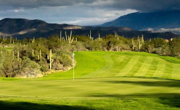 ARIZONA NATIONAL GOLF CLUB - 92 Photos & 37 Reviews - 9777 E Sabino ...
