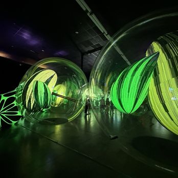 BALLOON MUSEUM - Updated March 2025 - 306 Photos & 37 Reviews - 318 NW ...