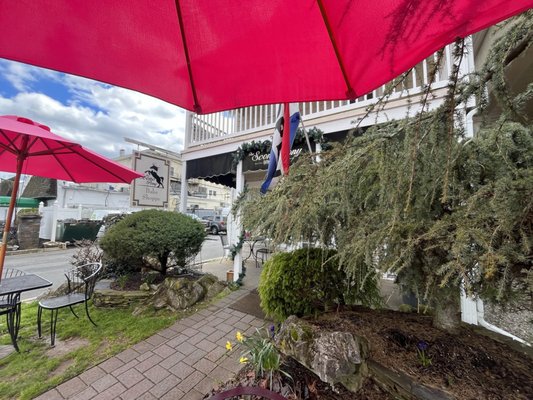 THE SCONE PONY - Updated March 2025 - 56 Photos & 132 Reviews - 305 ...