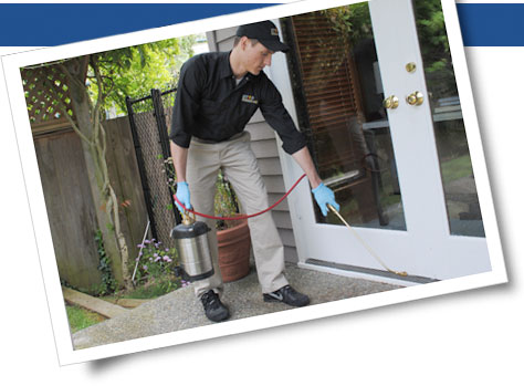 ARREST-A-PEST - Plantation, Florida - Pest Control - Phone Number - Yelp