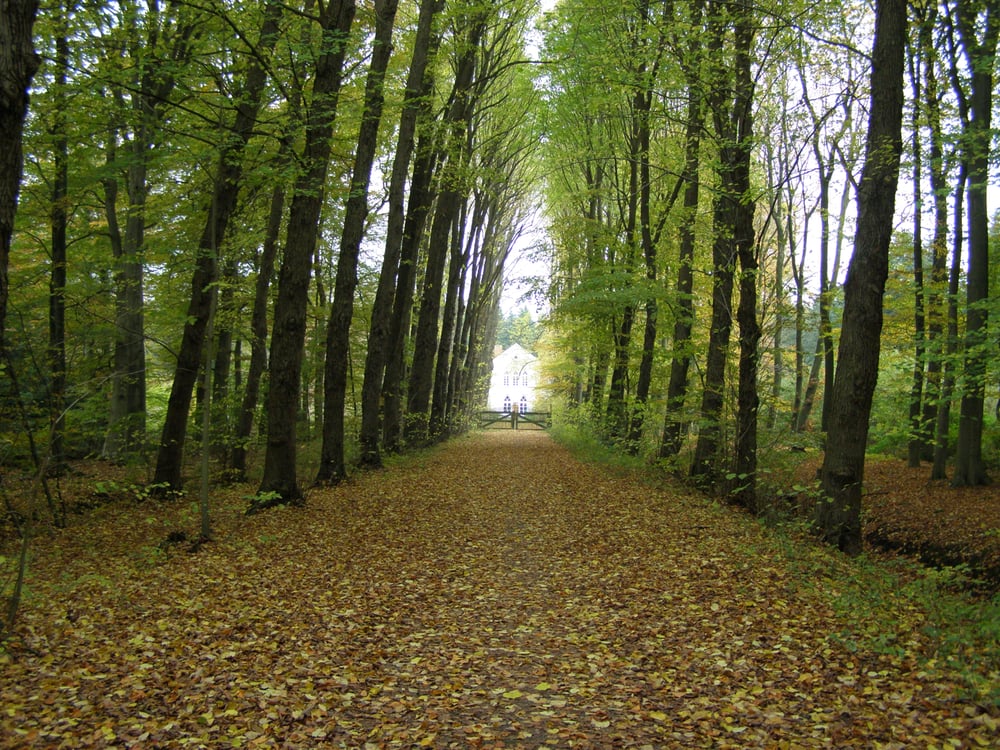 PARKHOTEL PHOENIX - Blandorfer Str. 7-8, Hage, Niedersachsen, Germany ...