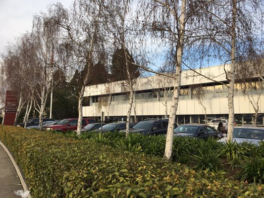 NORCAL IMAGING | SAN LEANDRO - Updated June 2025 - 14 Photos & 137 ...