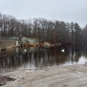 BUCKMASTER POND - Updated May 2025 - 12 Photos - 350 Pond St, Westwood ...