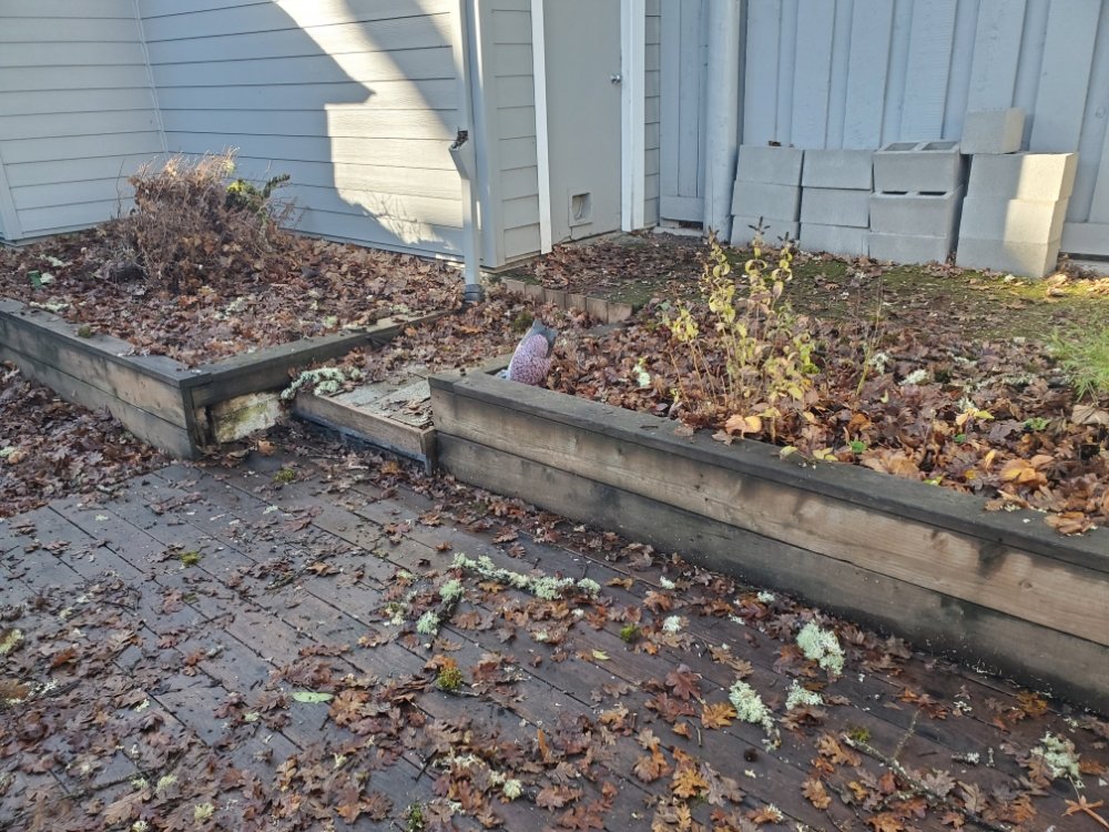 GREEN GO LANDSCAPING - Updated November 2025 - Request a Quote - 19 ...