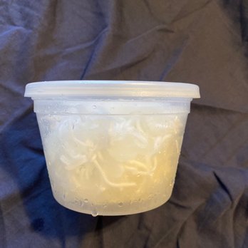 PATOUG PERSIAN CUISINE - Updated June 2024 - 75 Photos & 80 Reviews ...