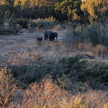 DOS PLUMAS HUNTING RANCH - Updated January 2026 - 64 Photos & 11 ...