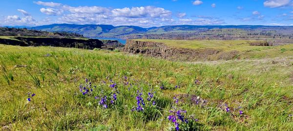 TOM MCCALL PRESERVE AT ROWENA - Updated April 2025 - 101 Photos - 6656 ...