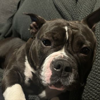 MICHAEL BUTCHKO, DVM - Updated October 2025 - 214 Photos & 541 Reviews ...