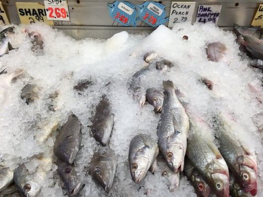 FORDHAM FISH MARKET - Updated December 2025 - 52 Photos & 11 Reviews ...