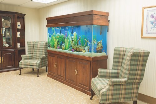 BATH MANOR SPECIAL CARE CENTRE - Updated June 2026 - 27 Photos - 2330 ...