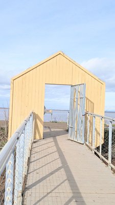 ALVISO MARINA COUNTY PARK - Updated December 2024 - 1571 Photos & 216 ...