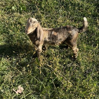 MASKER ORCHARDS - Updated December 2025 - 393 Photos & 236 Reviews - 45 ...