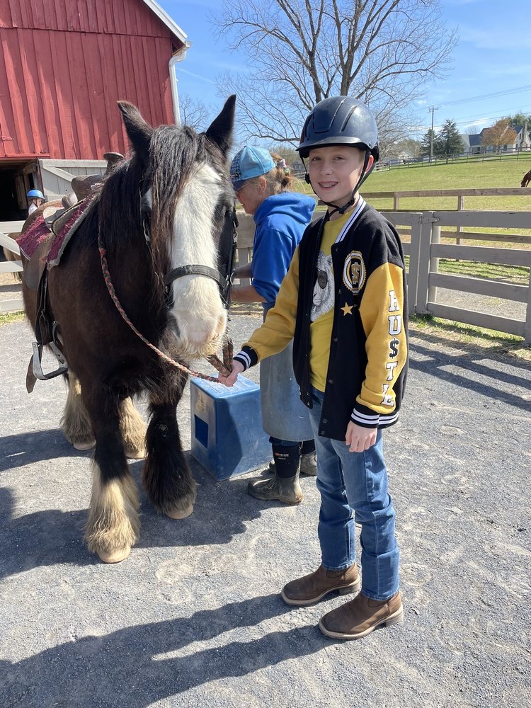 ROYAL HORSESHOE FARM - Updated December 2025 - 55 Photos & 44 Reviews ...