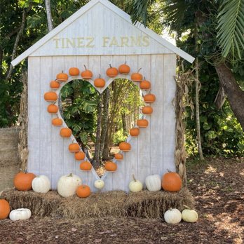 TINEZ FARMS - Updated October 2024 - 331 Photos & 57 Reviews - 16405 SW ...